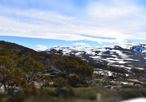 Katherine Trebeck | Writer & Researcher | Wellbeing Economy Alliance